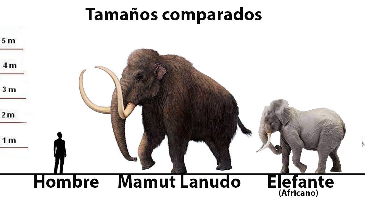 El sorprendente hallazgo científico que data de 50.000 años de antigüedad