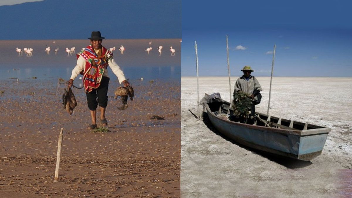 La sequía está destruyendo lagos en Bolivia: la crisis del Titicaca y ...