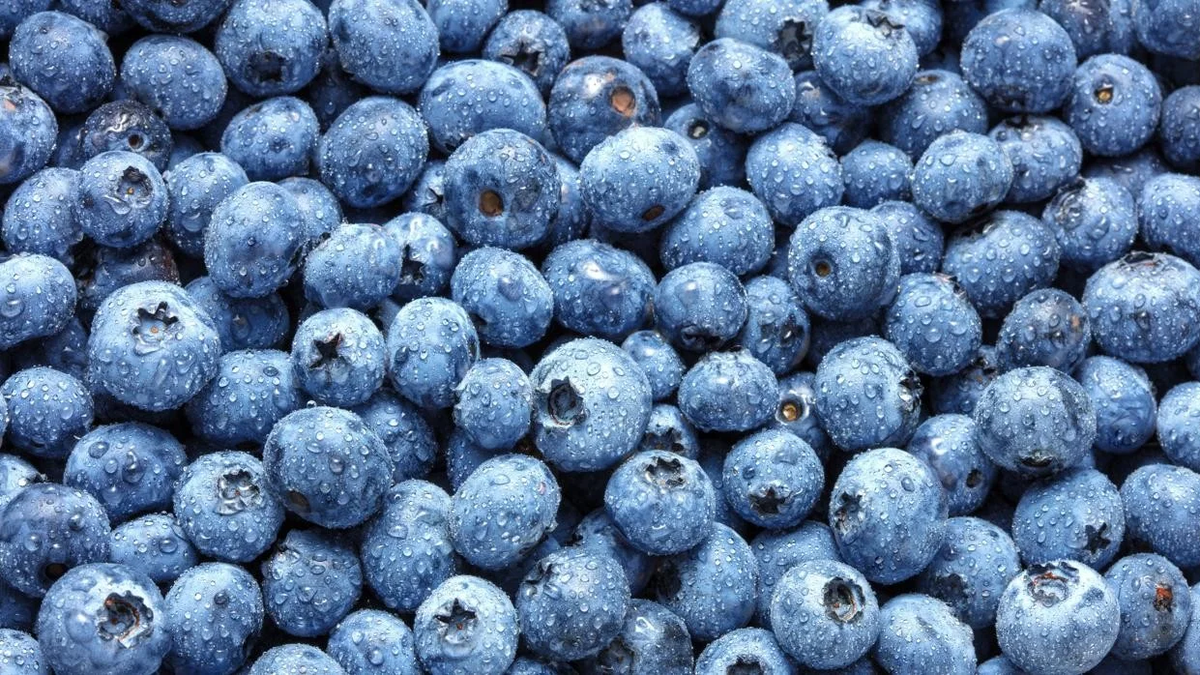 Los 6 beneficios de los arándanos que pueden mejorar notablemente tu salud