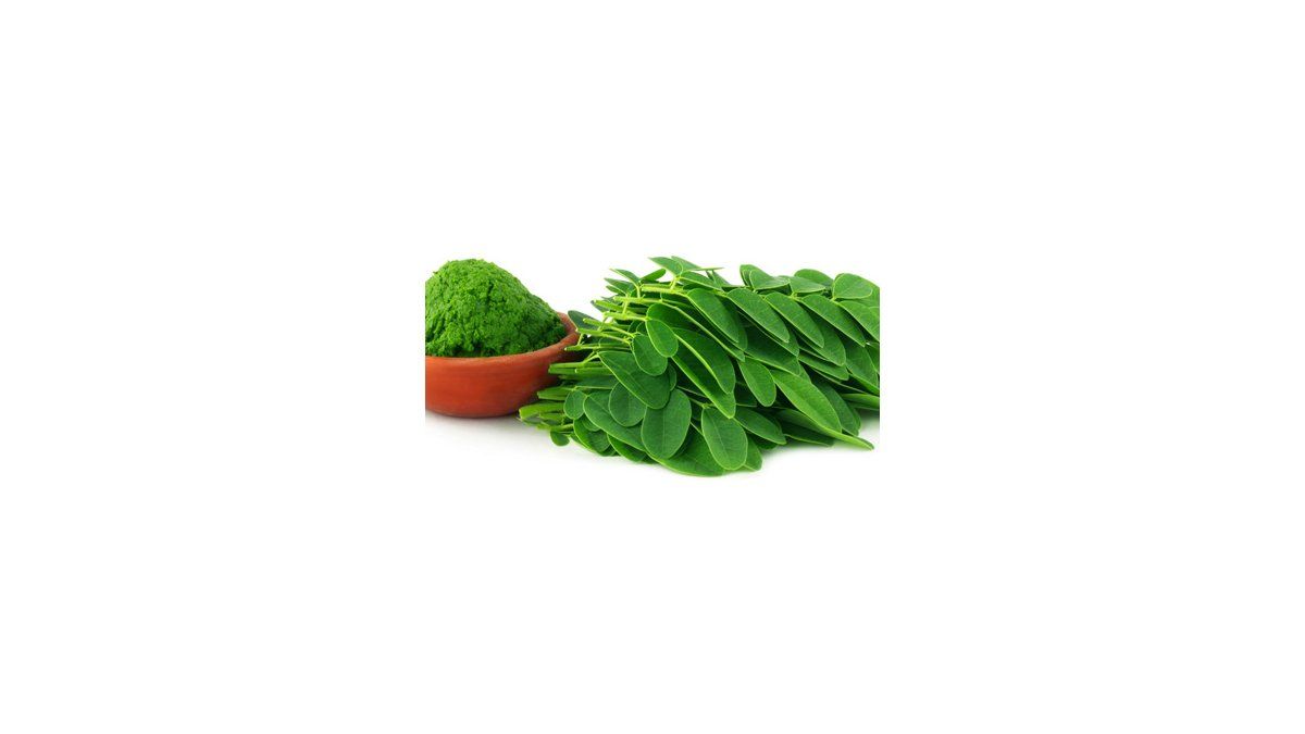 Cómo Consumir La Moringa