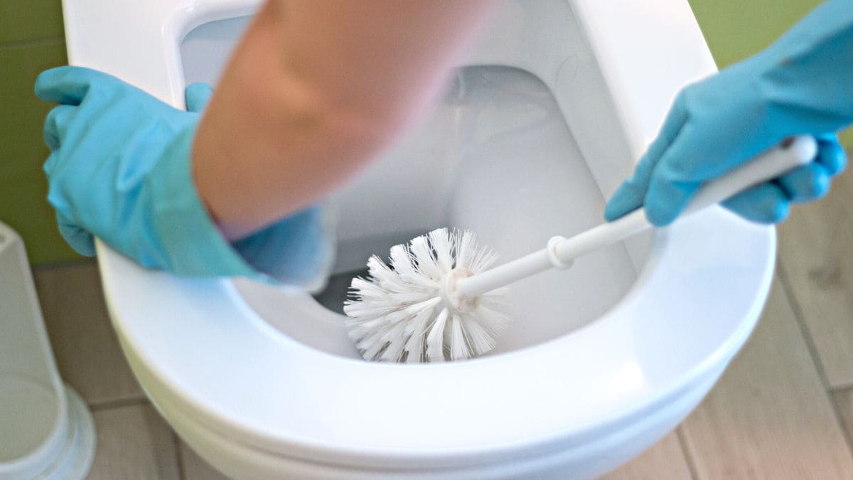 Mostró el truco definitivo para limpiar el sarro del inodoro: con 3 ...