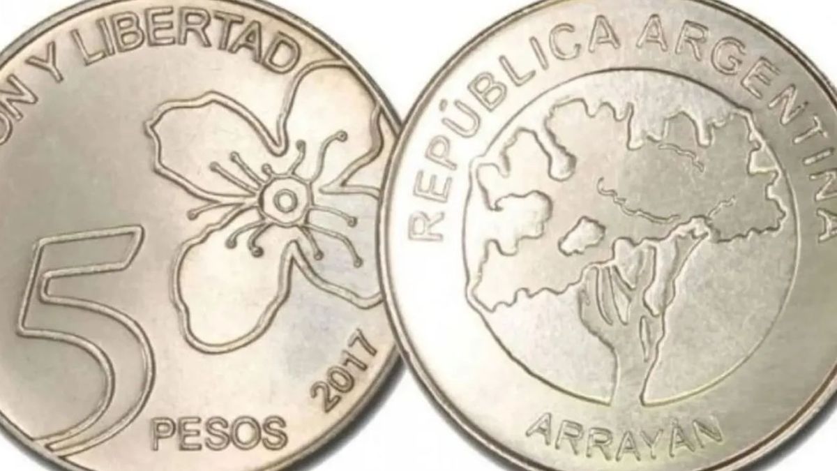 Buscá las monedas de 5 pesos que hay en tu casa porque tenés un gran ...