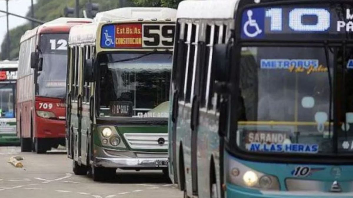 Paro de colectivos: a qué líneas afecta en el AMBA y en qué ciudades del país hay servicio normal