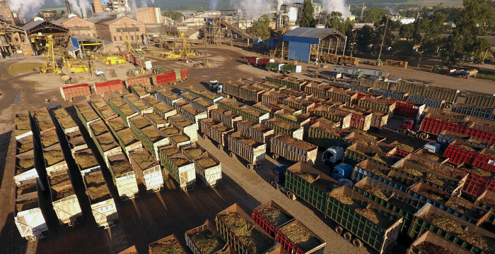 Con protocolos especiales, comienza la zafra azucarera