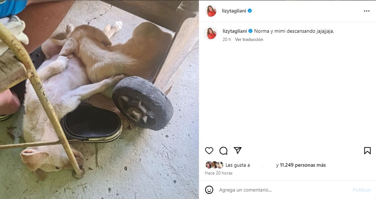 El inesperado mensaje de amor de Leo Alturria a Lizy Tagliani: Creo que ... El inesperado mensaje de amor de Leo Alturria a Lizy Tagliani: Creo que ...