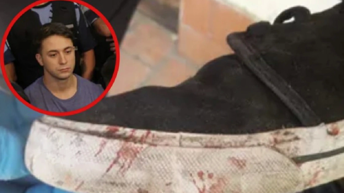 No sabemos de qué murió Fernando: un perito médico cuestionó los ...