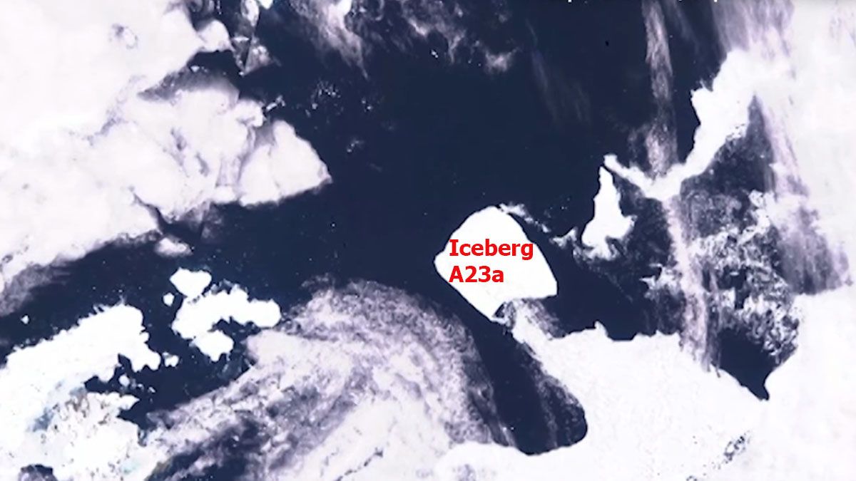 A23a: el iceberg que es 100 metros más alto que la torre Eiffel navega hacia el Atlántico y ...