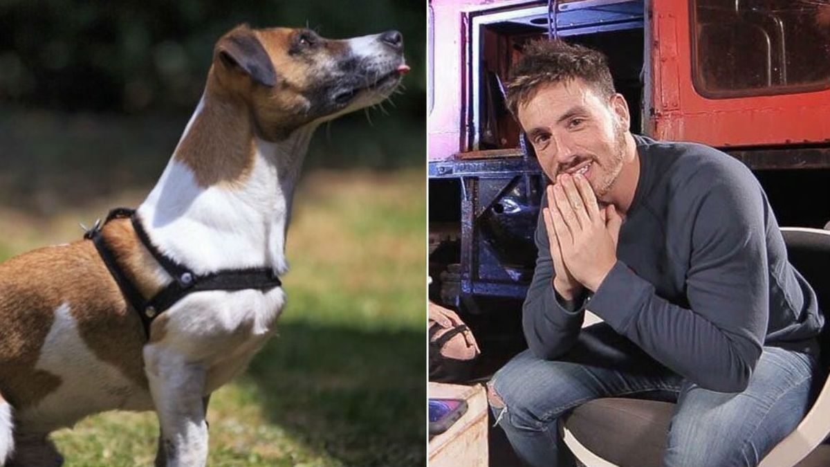 Federico Bal: Mi perro tiene un tumor en el ojo; hay que operarlo