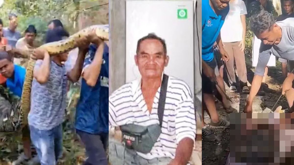 El video que nadie puede terminar de ver: una pitón se traga a un agricultor en segundos
