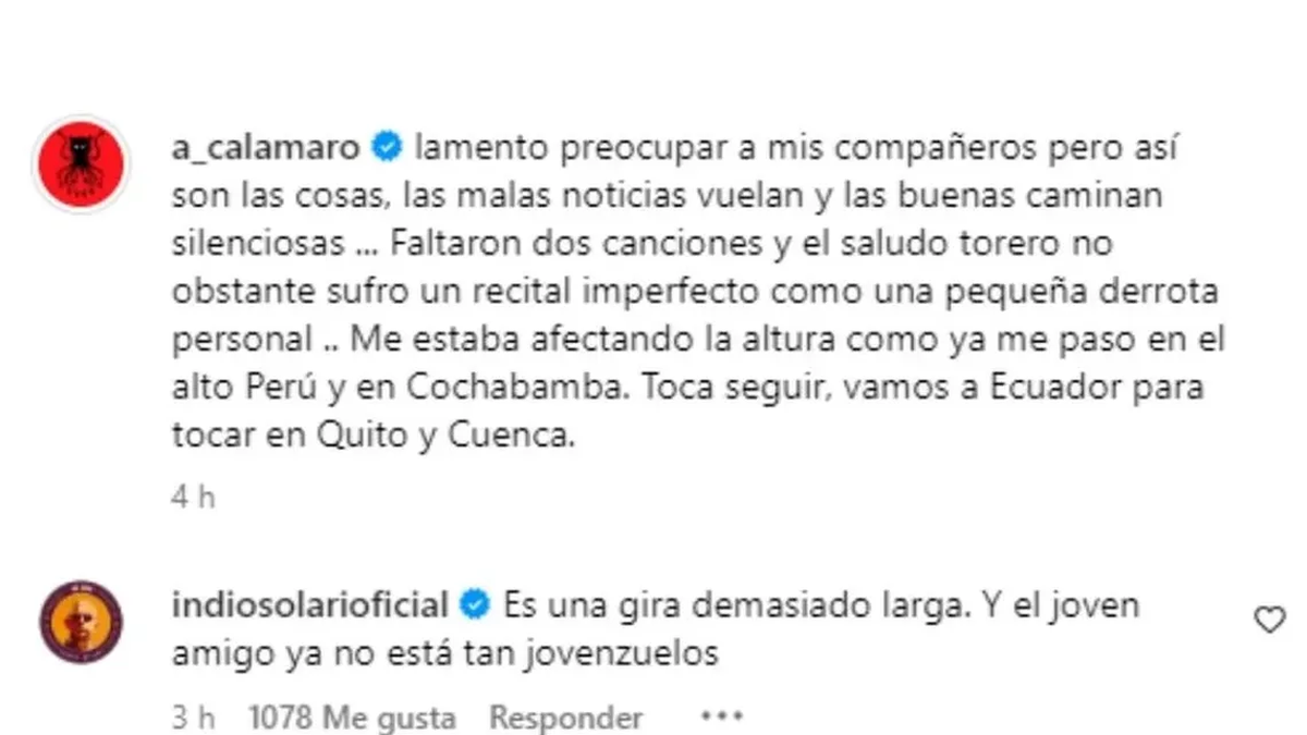 La letal crítica del Indio Solari a Andrés Calamaro por abandonar un ...