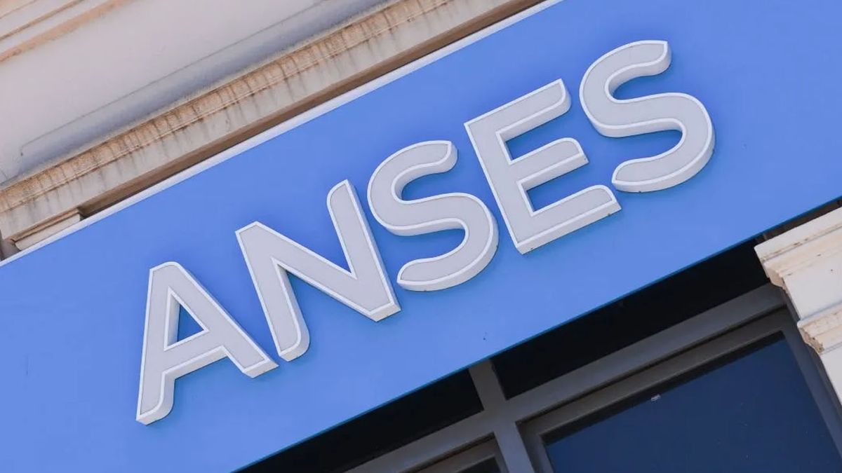 ANSES: quiénes pueden acceder a un BONO EXTRA de $100.000 para la AUH
