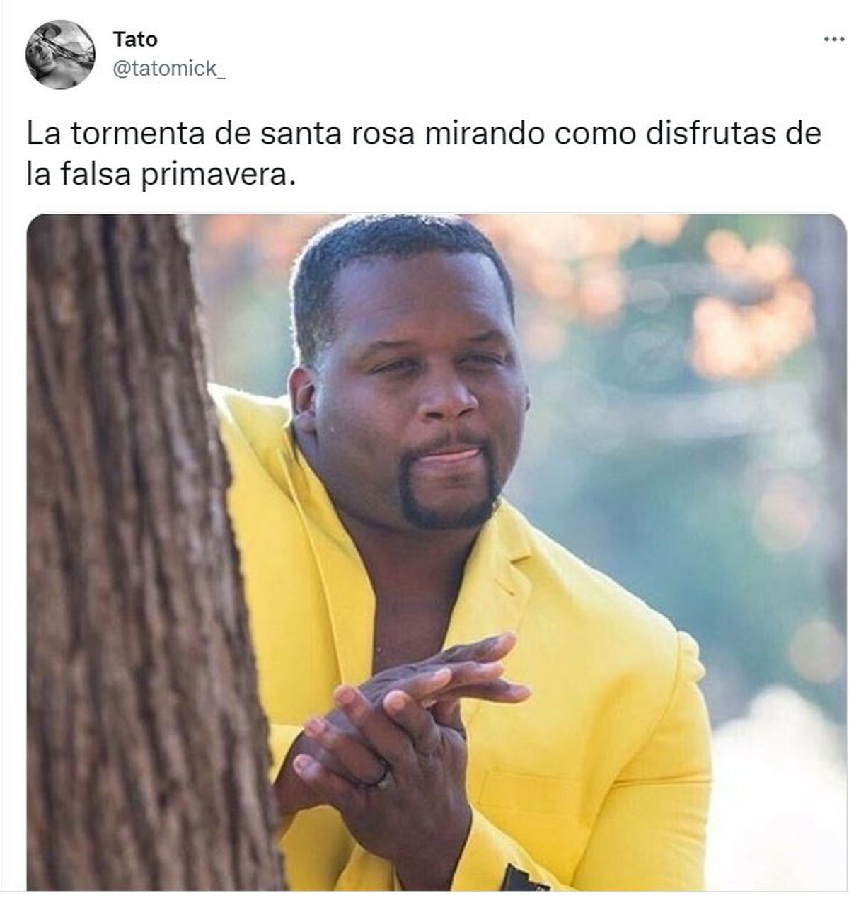 Tormenta de Santa Rosa: los mejores memes que anticipan la llegada de ...