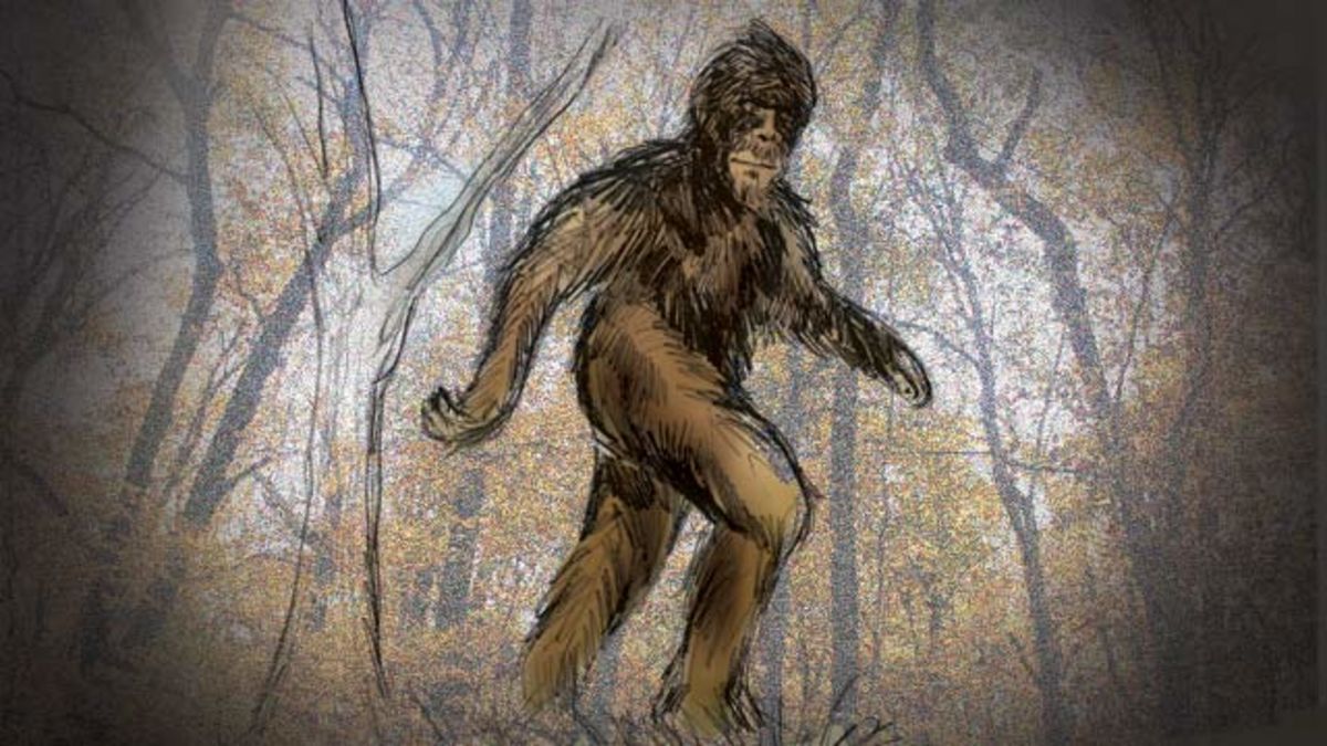 Qué es el Ucumar, el monstruo mitológico que aseguran haber visto en Salta