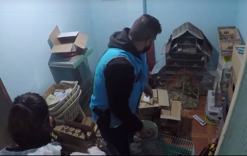 Maltrato animal: vendían animales vivos y congelados para consumo